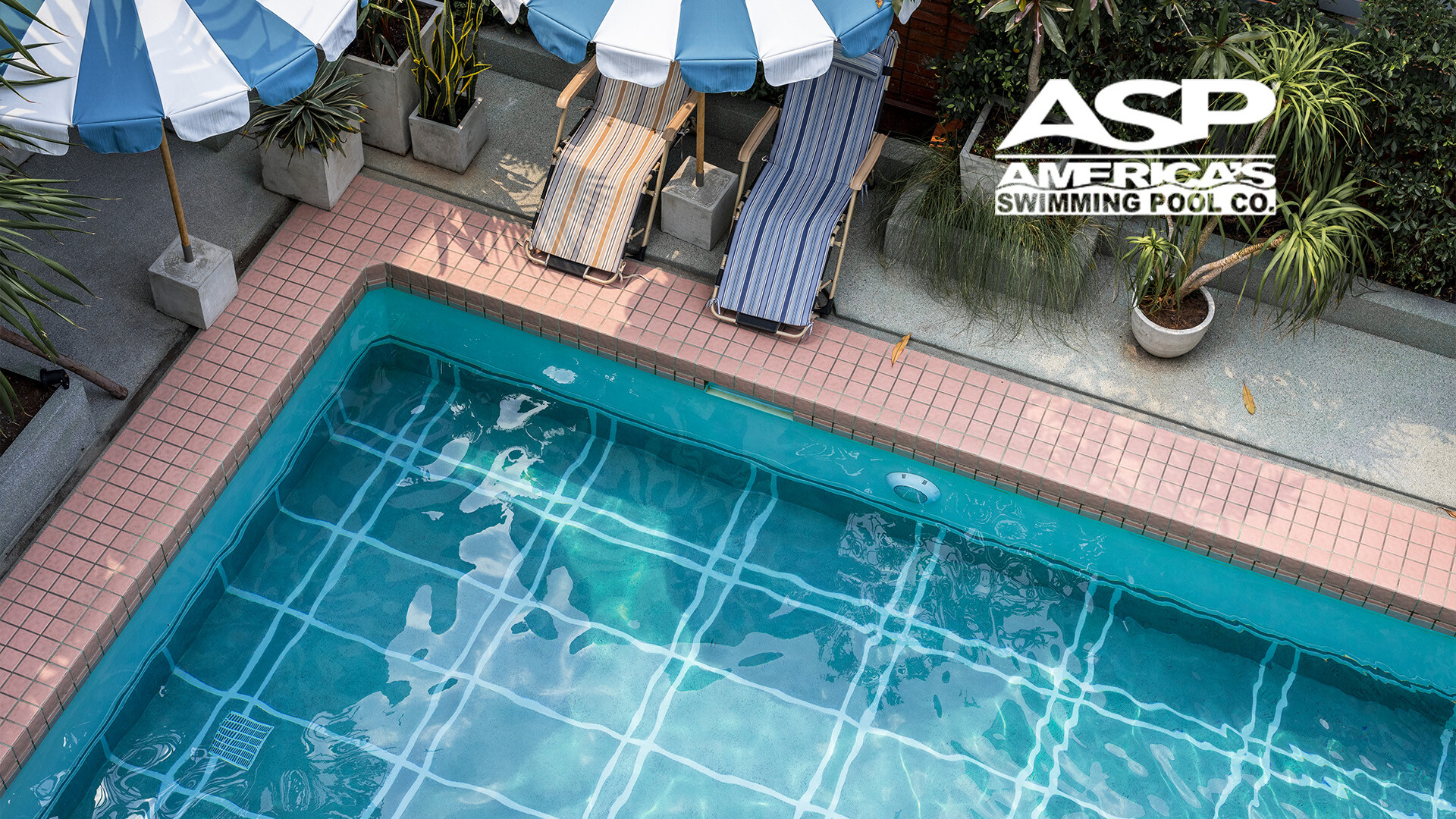 America’s Swimming Pool Franchise: A Business Opportunity. - FBA